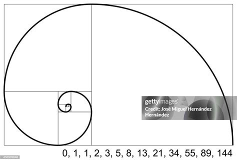 Fibonacci Sequence Spiral