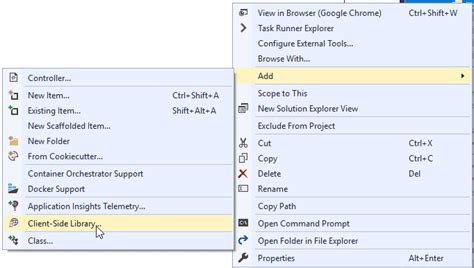 Installing Client Side Libraries In Asp Net Core The Long Walk