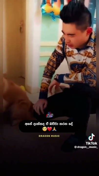 මිනිස්සුන්ට වඩා තිරිසන් සතුන් ගාව හොද ගුණ තියනවා ️ 😜 Youtube