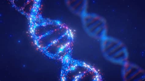 430 Chromosomal Segment Royalty Free Photos And Stock Images Shutterstock