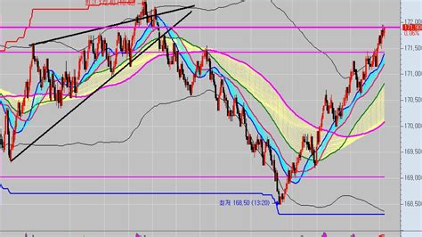 단타 대응의 장 선옵전문가분석 선물옵션 팍스넷 증권포털