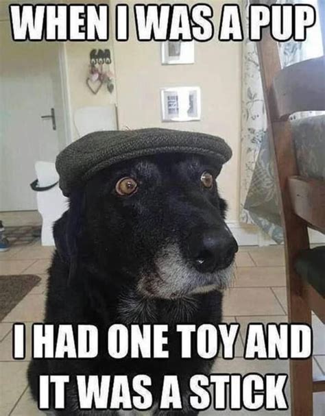 The Best Stick Memes Memedroid