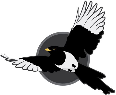 Info — Magpie