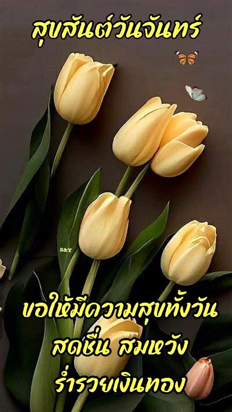 ปักพินโดย Terawan ใน Nice Day สุขสันต์วันจันทร์ ฝันดีราตรีสวัสดิ์ วันจันทร์