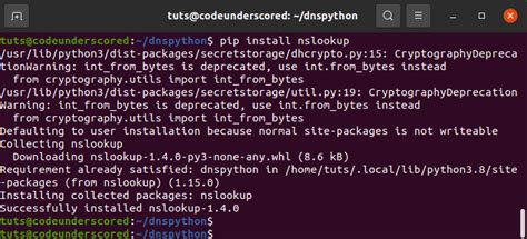 How To Do Nslookup In Python Code Underscored