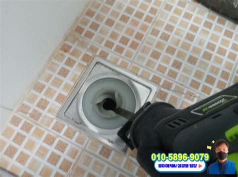 다이소 화장실 하수구 트랩 말고 욕실 배수트랩바퀴벌레 네이버 블로그