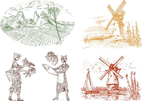 Cocoa Tree Vector Images Over