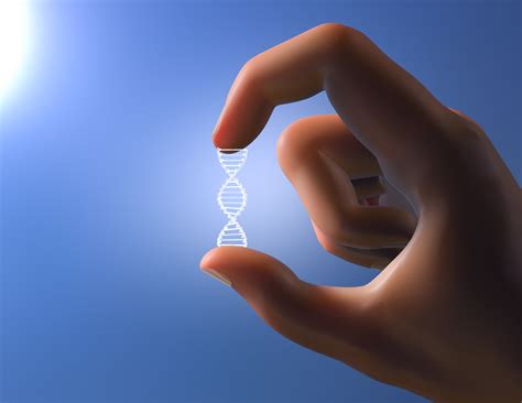 Gene Analysis Dr Marcelle