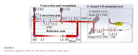 Figure 1 From Helicity And Topological Charge Tunable Optical Vortex Based On A Hermite Gaussian