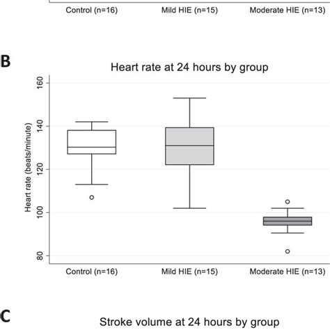 Cardiac Output Heart Rate And Stroke Volume Over Time By Group Mean Download Scientific
