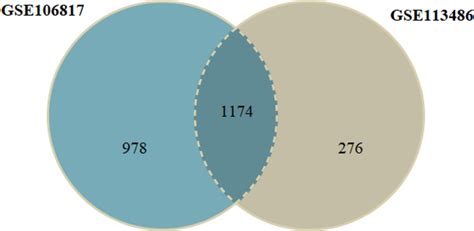 The Intersection Of Four Microarray Datasets Analysis Download Scientific Diagram