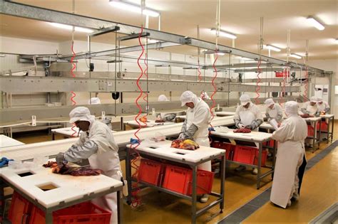 Ерөнхийлөгчийн Үйлдвэр үйлчилгээний бодлогын зөвлөх Ч Даваабаяр Преком компанийн мах