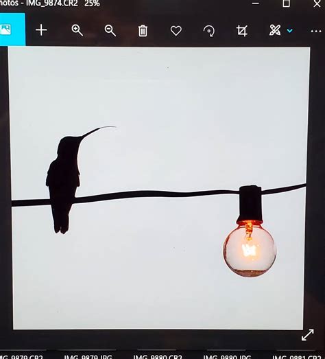 Creative Id Designs Honoring And Inspired By Woodstock And