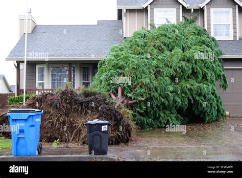 A Scene In Southeast Battle Ground Wash On December 11 2015 The