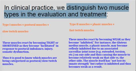 Lecture 105 OMM Mini Lecture Upper Crossed Syndrome Flashcards Quizlet