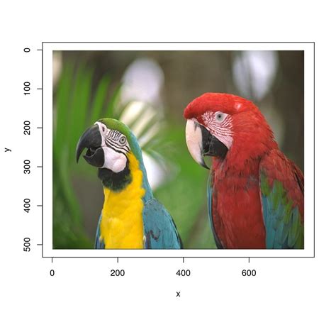 Imager An R Package For Image Processing