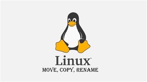 how to copy move and rename files in linux step by step guide