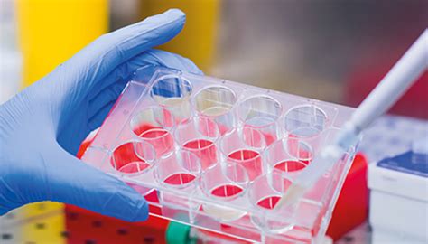 Secondary Antibodies Jackson Immunoresearch