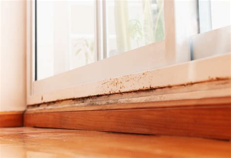 Ferrugem O Que é Como Tirar E Como Evitar Ypê