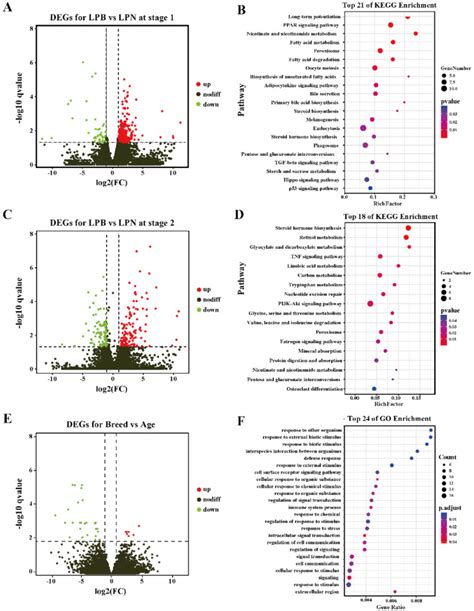 Genomic And Transcriptomic Landscape To Decipher The Genetic Basis Of