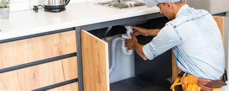 Quels Sont Les Différents Types De Siphons Guide Artisan