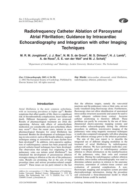 Pdf Radiofrequency Catheter Ablation Of Paroxysmal Atrial Fibrillation Guidance By