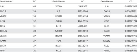 Top 10 Genes With Highest Degrees In Protein Protein Interaction