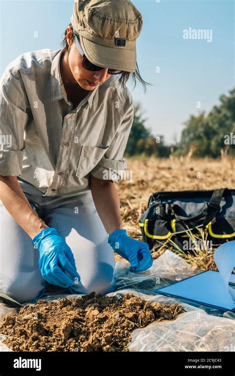Soil Fertility Analysis Female Agronomist Taking Soil Sample Stock Photo Alamy