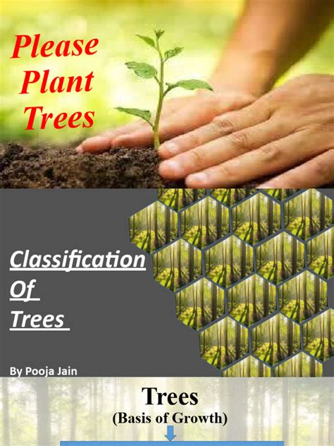 Classification Of Trees Pdf