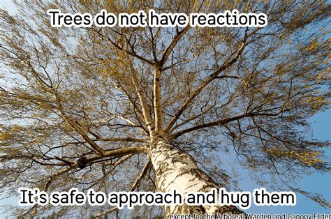 there are many branching paths in life r pathfindermemes
