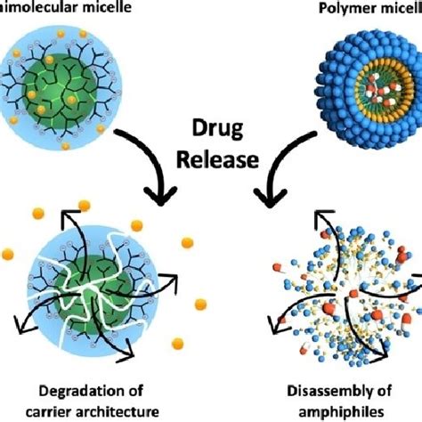 The Different Physical Behavior Of Unimolecular And Polymeric Micelles
