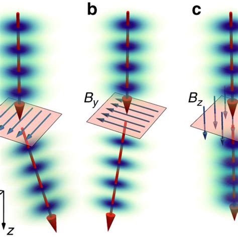 Pdf Observation Of Nanoscale Magnetic Fields Using Twisted Electron Beams