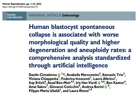 Human Blastocyst Spontaneous Collapse A Comprehensive Analysis