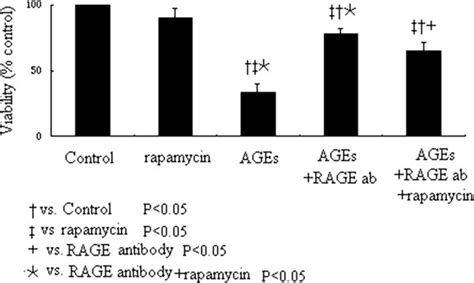 Cardiomyocyte Viability After The Inhibition Of Rage And Pi3k Akt Mtor Download Scientific