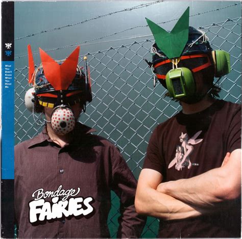 Bondage Fairies What You Didnt Know When You Hired Me 2009 Vinyl