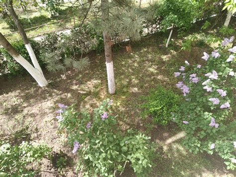 Xiaomi Redmi Review Gadgetlab Ro