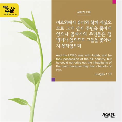 아가페 주삶 말씀묵상 무너지는 용사의 마음 사사기 1 16 21 이스라엘
