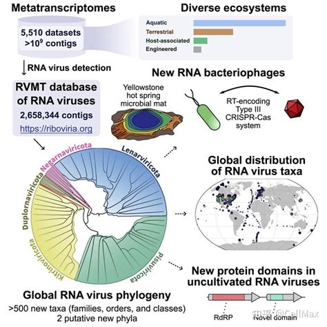 2022年10月cell期刊精华 知乎