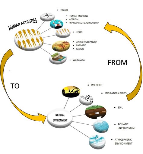 The Environmental Resistome Download Scientific Diagram