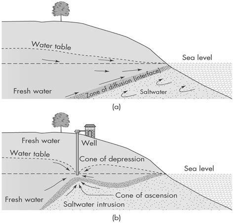 4 1 Saltwater Intrusion Into A Coastal Aquifer Download Scientific Diagram