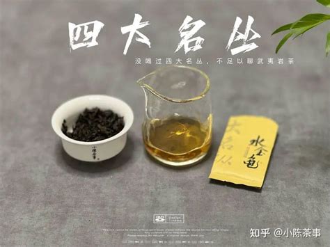 金桂白月桂矮脚乌龙为什么双十一我建议你囤些岩茶名丛 知乎