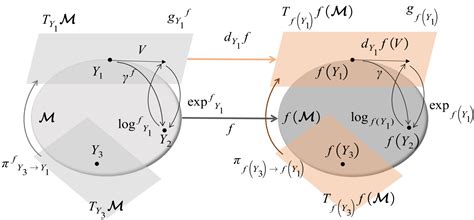 GitHub Ronald1129 Multivariate Intrinsic Local Polynomial Regression