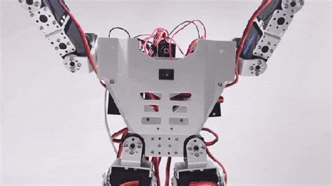 How To 17 Dof Humanoid Robot 7 Steps With Pictures Instructables
