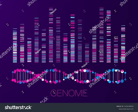 Antibody In Textures Over 545 Royalty Free Licensable Stock Vectors