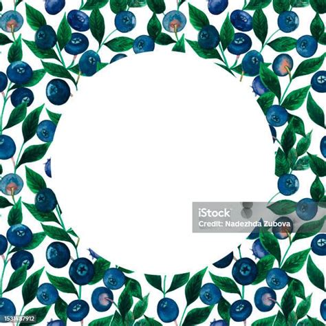 열매가 있는 수채화 블루베리 둥근 프레임 흰색으로 분리된 손으로 그린 나뭇잎 배경 제품 디자인 인사말 카드 장식 0명에 대한 스톡 벡터 아트 및 기타 이미지 Istock