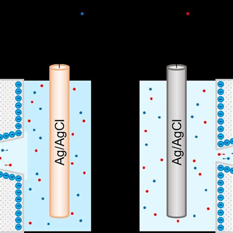 Conductometric Nanopore Experiments Scheme Of The Setup With A