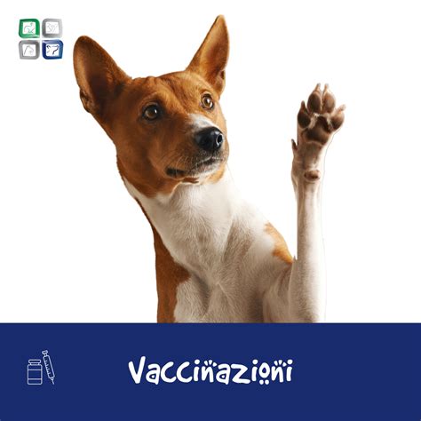 Vaccinazioni