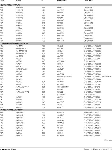 List Of P Type Atpases Analyzed In This Study Download Table