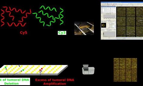 Comparative Genomic Hybridization Cgh Software Market Demonstrates A Spectacular Growth By