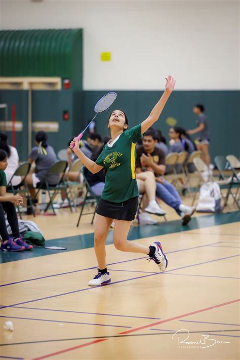 Badmintons Dubey Advances To Ihsa State Tournament The Beat